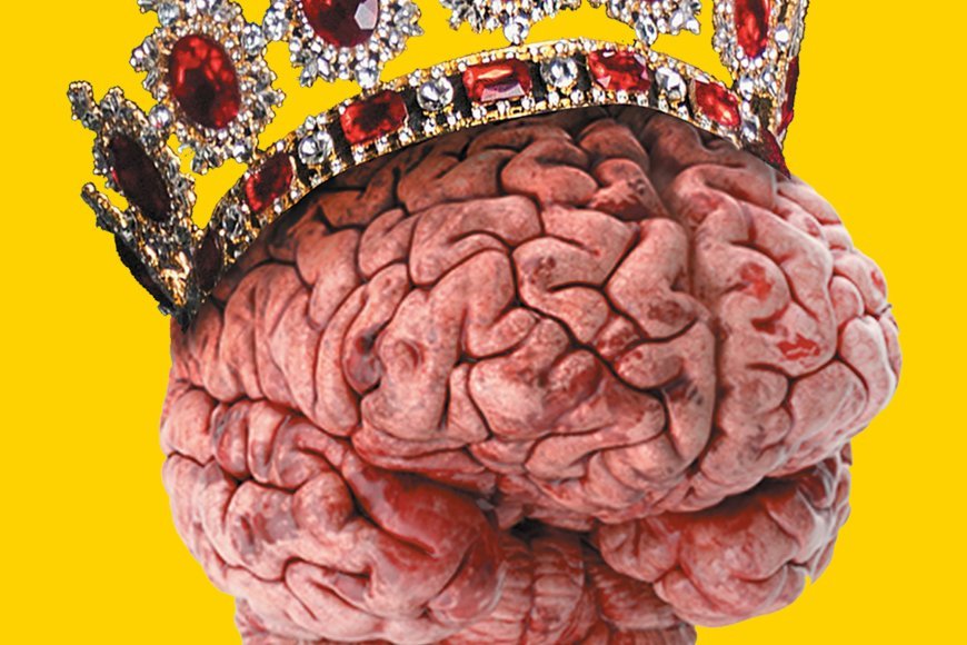 Successful Intelligence - Wordings